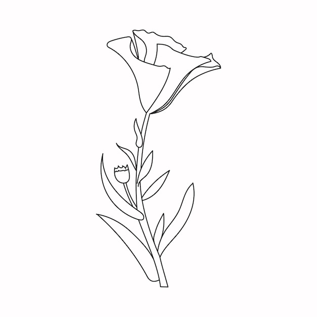 Elegant Floral Line Drawing of a Blooming Flower | Jiffy Designs