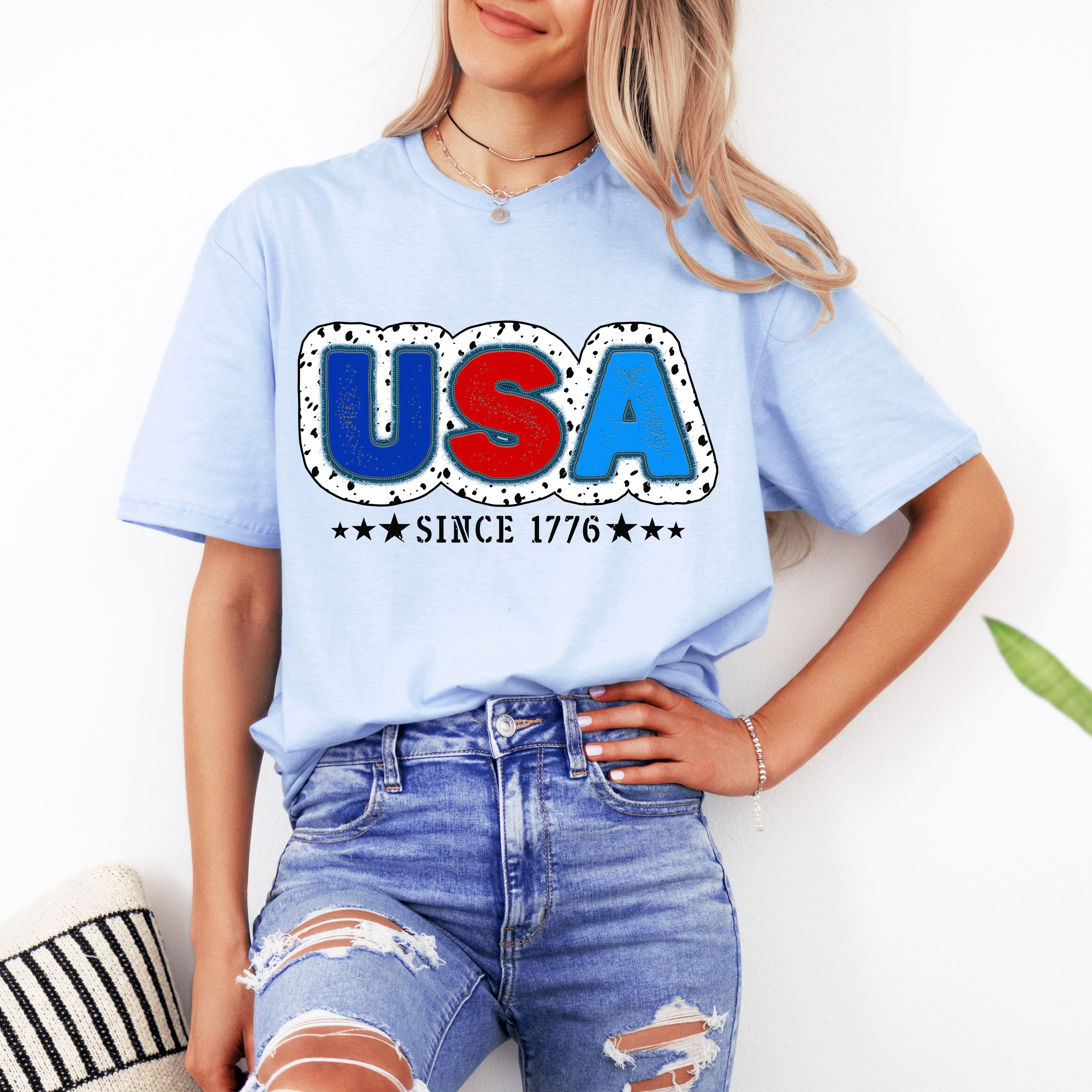 'USA Since 1776' Patriotic Letters with Dalmatian-Inspired Border ...