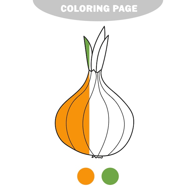 Stylized Onion Illustration for Coloring with Color Palette | Jiffy Designs