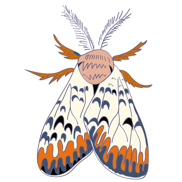 Captivating Moth with Intricate Wing Patterns | Jiffy Designs