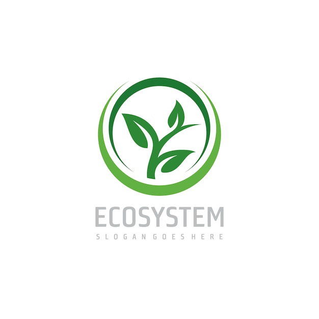 Vibrant Green Leaf Emblem in Circular Nature Logo | Jiffy Designs