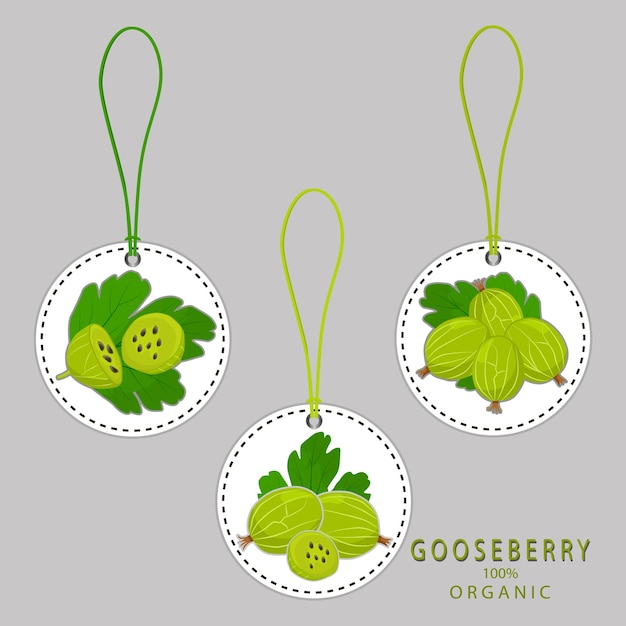 Vibrant Gooseberry Organic Icons in Circular Frames | Jiffy Designs