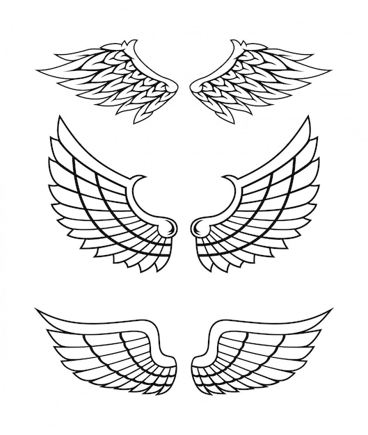 Collection of Intricate Wing Designs with Diverse Styles and Details ...