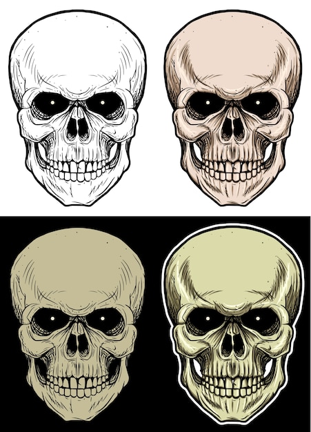 Intricate Skull Illustrations with Varied Shading and Color Palettes ...