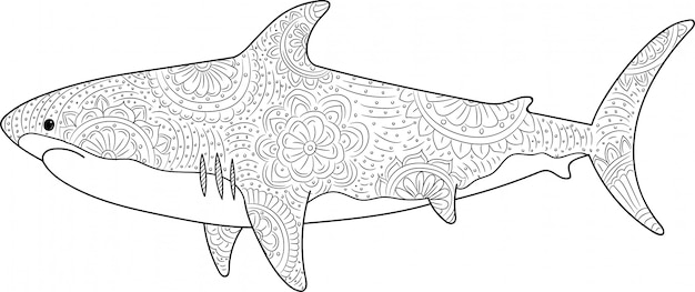 Intricate Floral Patterned Shark Illustration | Jiffy Designs