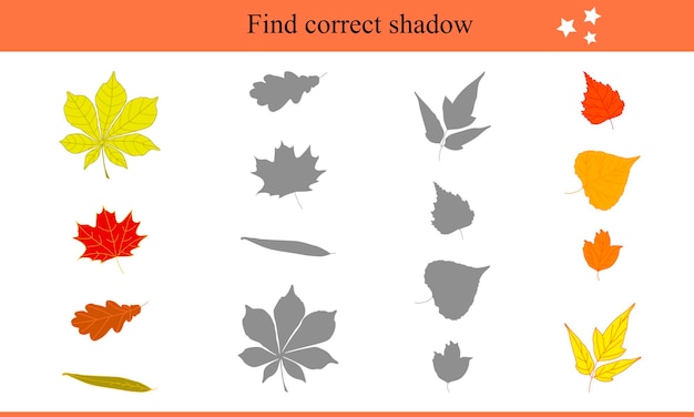 Vibrant Fall Leaves and Their Matching Shadows | Jiffy Designs