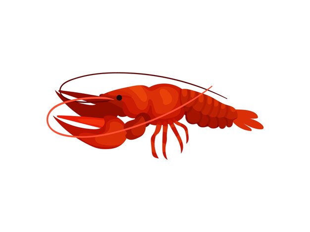Vibrant Crawling Crustacean: Captivating Crayfish Illustration | Jiffy Designs
