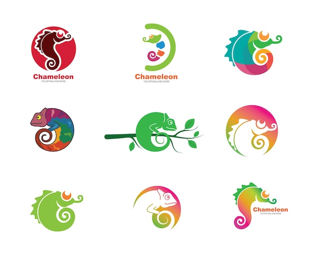 Vibrant Chameleon Icon Collection for Versatile Branding | Jiffy Designs