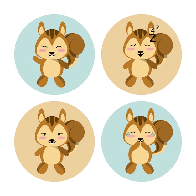 Adorable Squirrel Characters in Vibrant Color Palette Circles | Jiffy ...