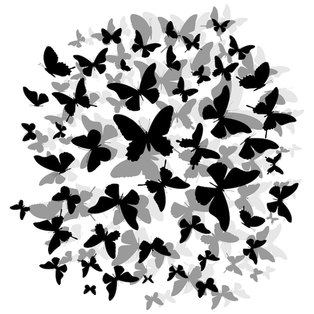 Elegant Monochrome Butterfly Swarm | Jiffy Designs
