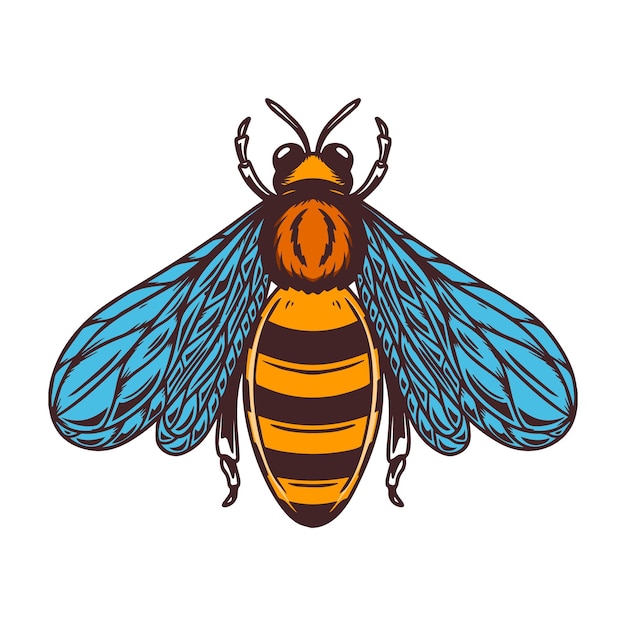 Vibrant and Detailed Illustration of a Striking Bee | Jiffy Designs