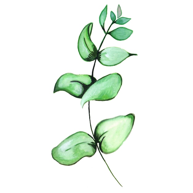 Vibrant Green Watercolor Plant Illustration with Twisting Stems | Jiffy ...