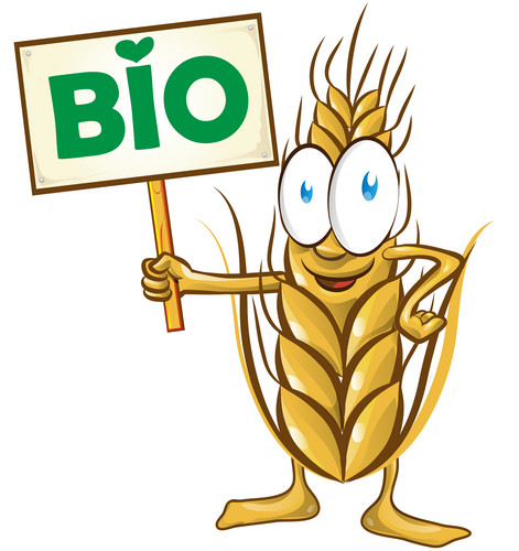 Wheat Cartoon Bio With Signboard Isolated On White Background | Jiffy ...
