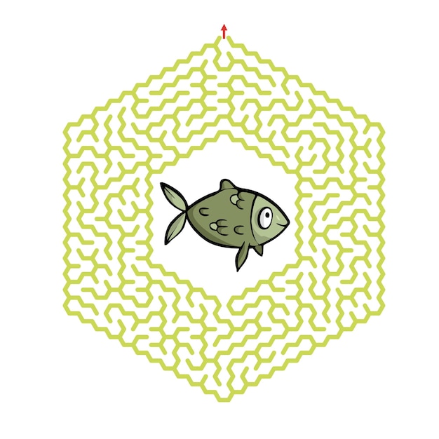 Vibrant Hexagonal Frame with Playful Fish Motif | Jiffy Designs