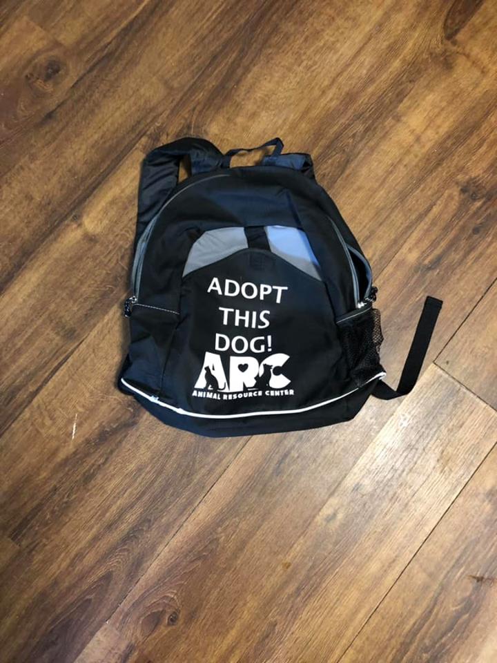 Gemline Canyon Backpack 5300 Black | Jiffy